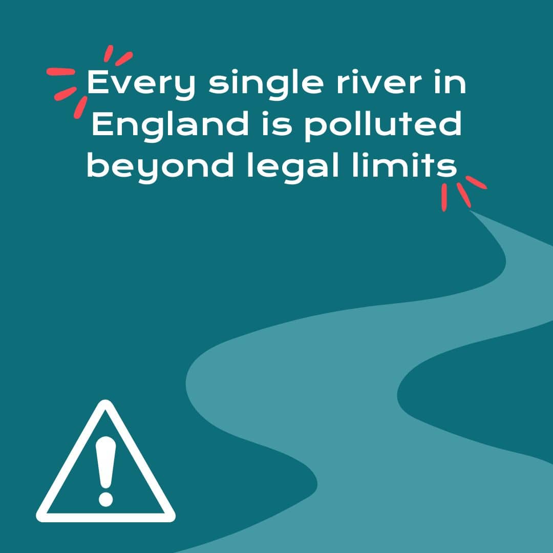 Every single river in England is now polluted beyond legal limits - Konker